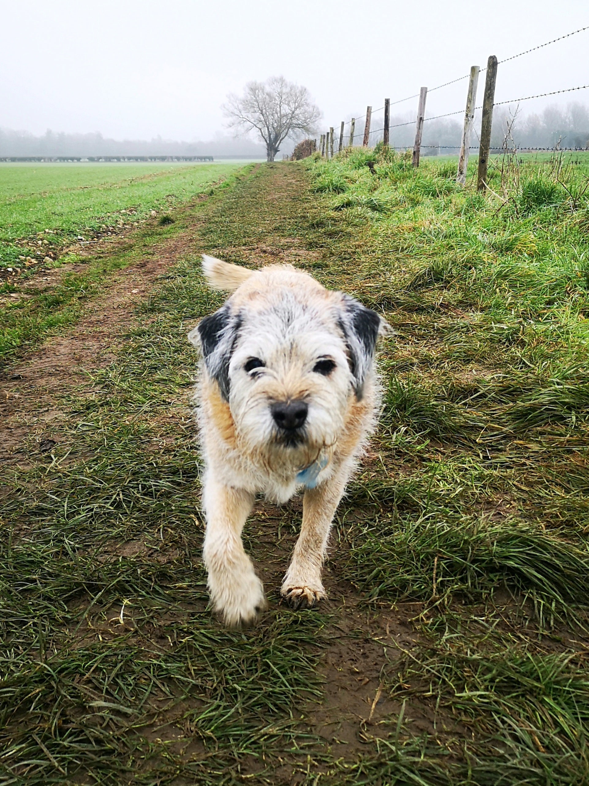 Fred with more lives than a cat – Worry Less Design